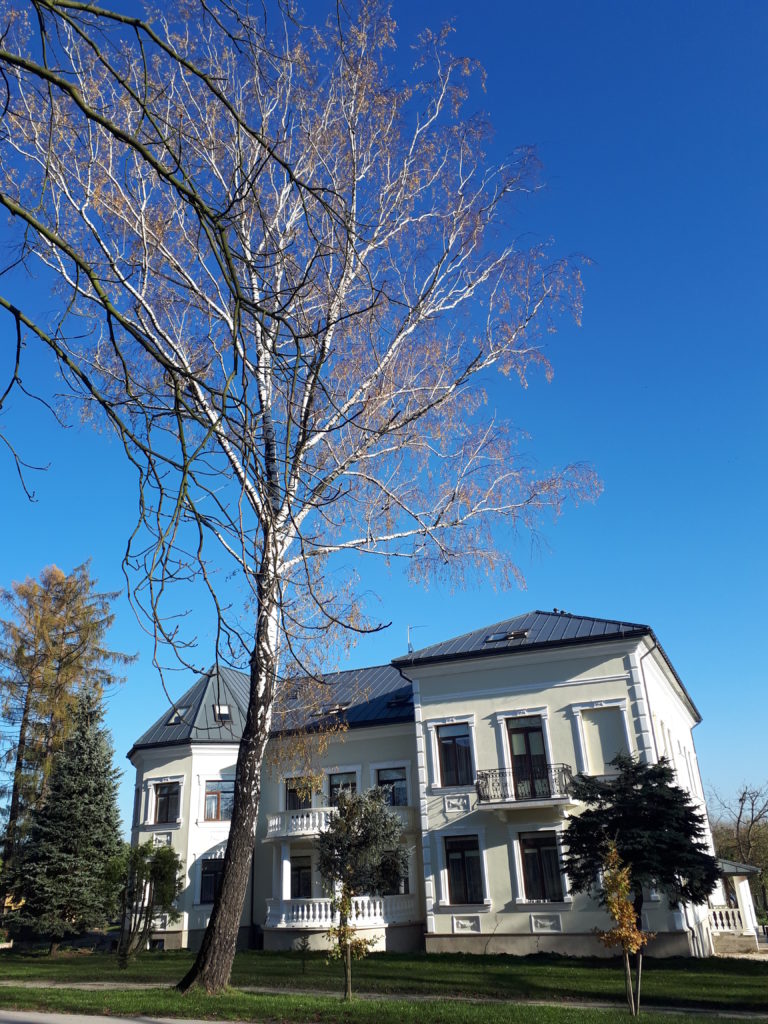 Solec Zdrój - fajfy w oparach siarki - Klinika podagryka